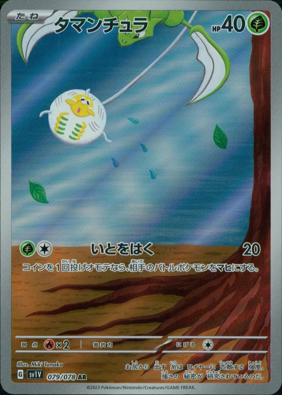 079/078/SV1V/B/AR タマンチュラ