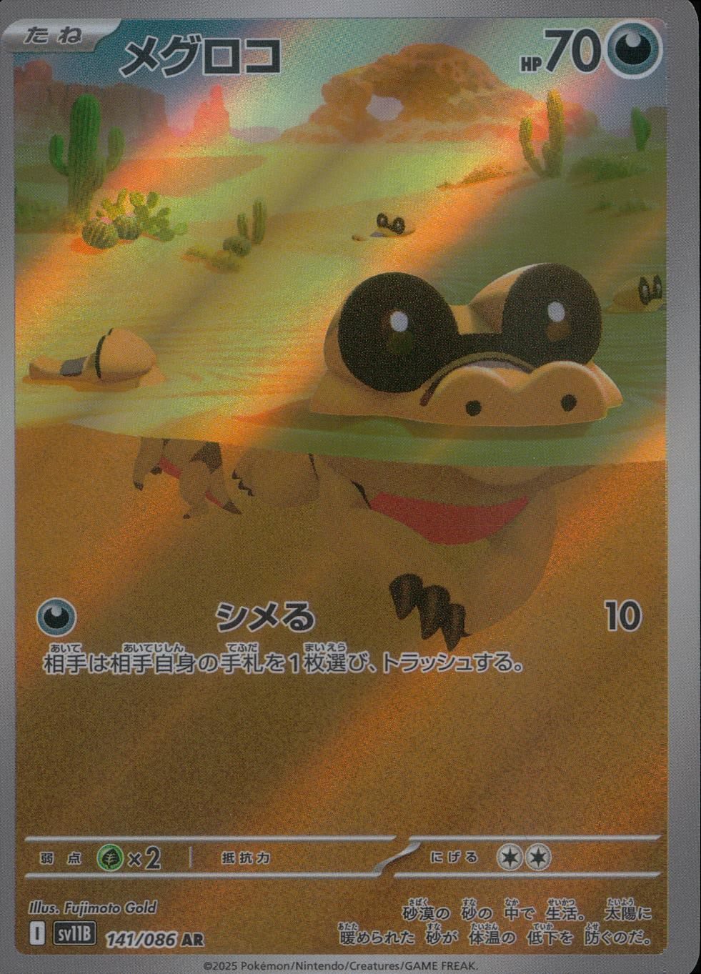 141/086/SV11B/B/AR メグロコ