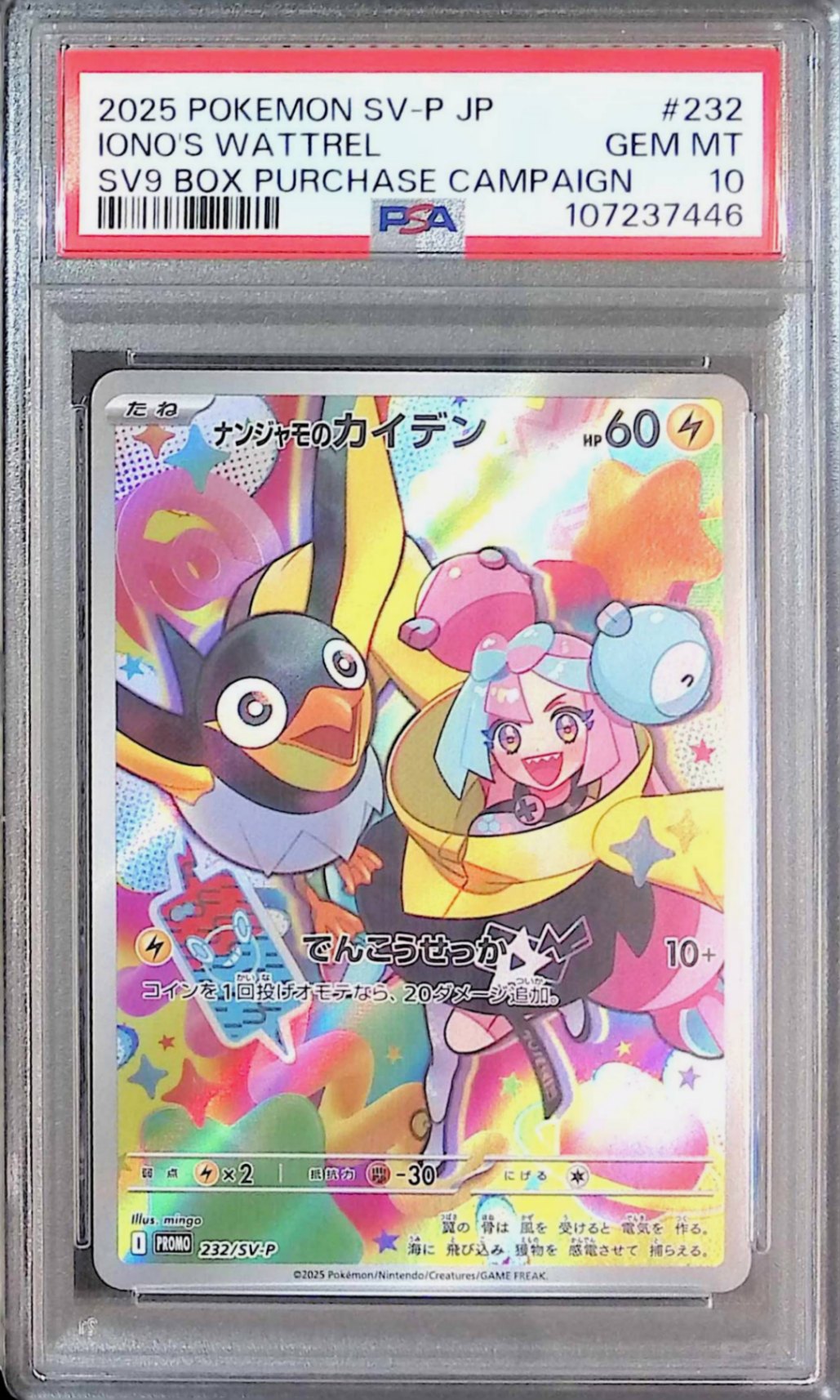 232/SV-P/PROMO ナンジャモのカイデン PSA10 107237446