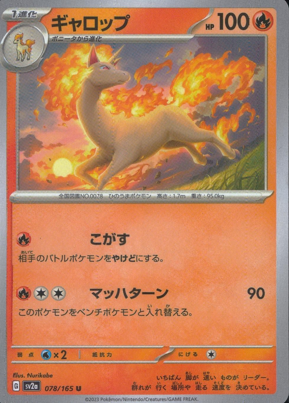 078/165/SV2A/B/U ギャロップ – トレジャーコレクション