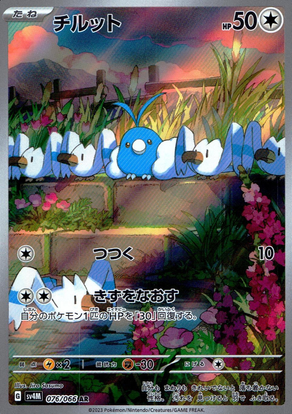 076/066/SV4M/B/AR チルット