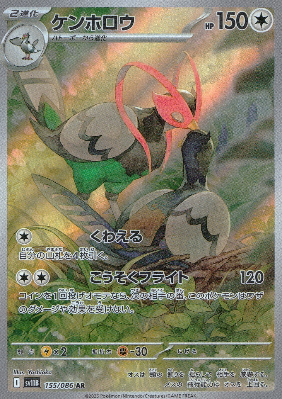 155/086/SV11B/B/AR ケンホロウ