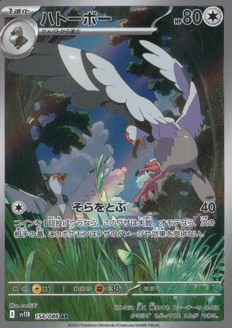 154/086/SV11B/B/AR ハトーボー