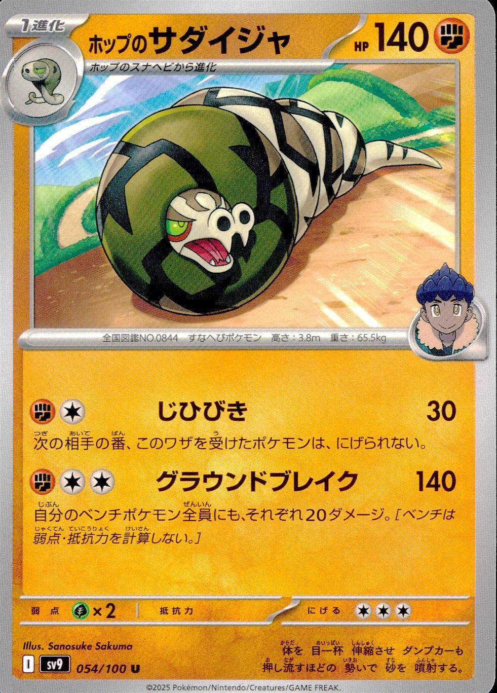 054/100/SV9/B/U ホップのサダイジャ