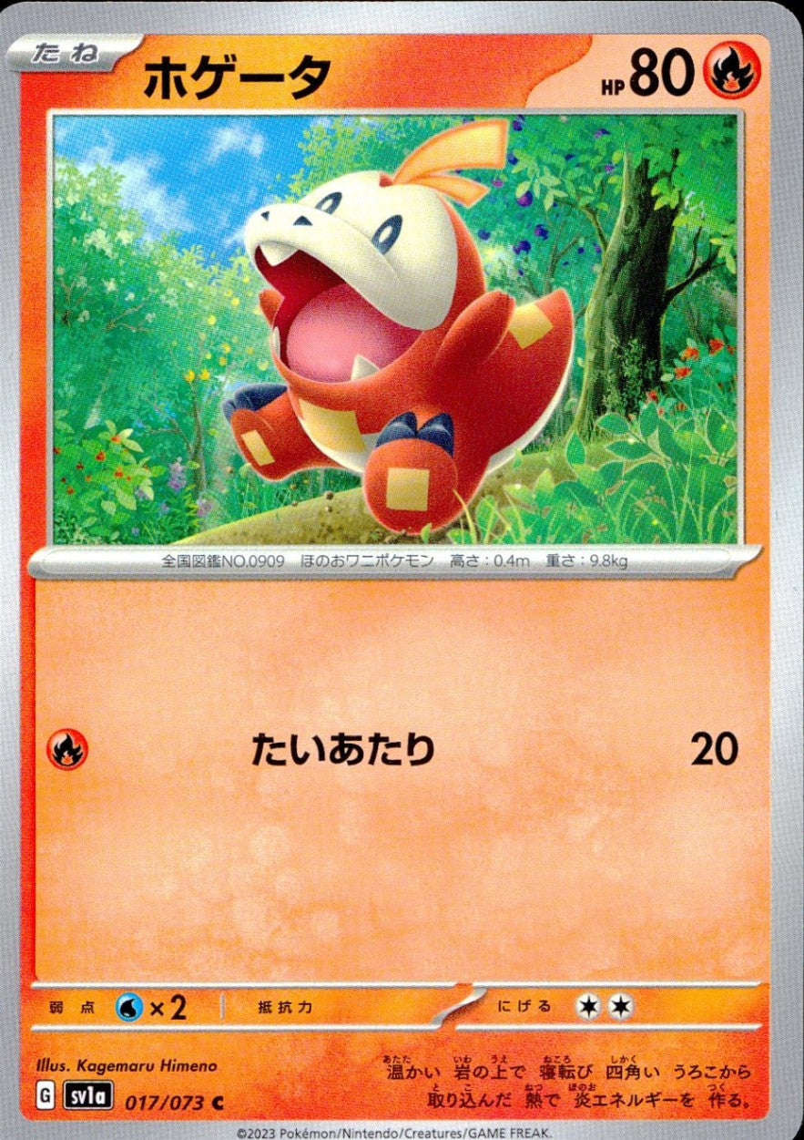 017/073/SV1A/B/C ホゲータ