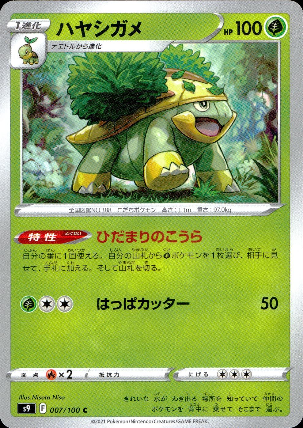 007/100/S9/B/C ハヤシガメ