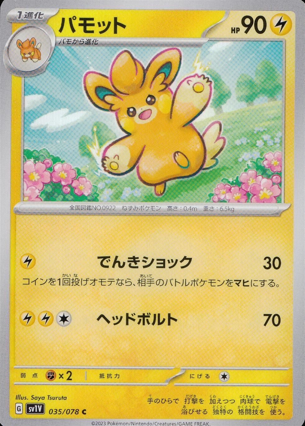 035/078/SV1V/B/C パモット – トレジャーコレクション