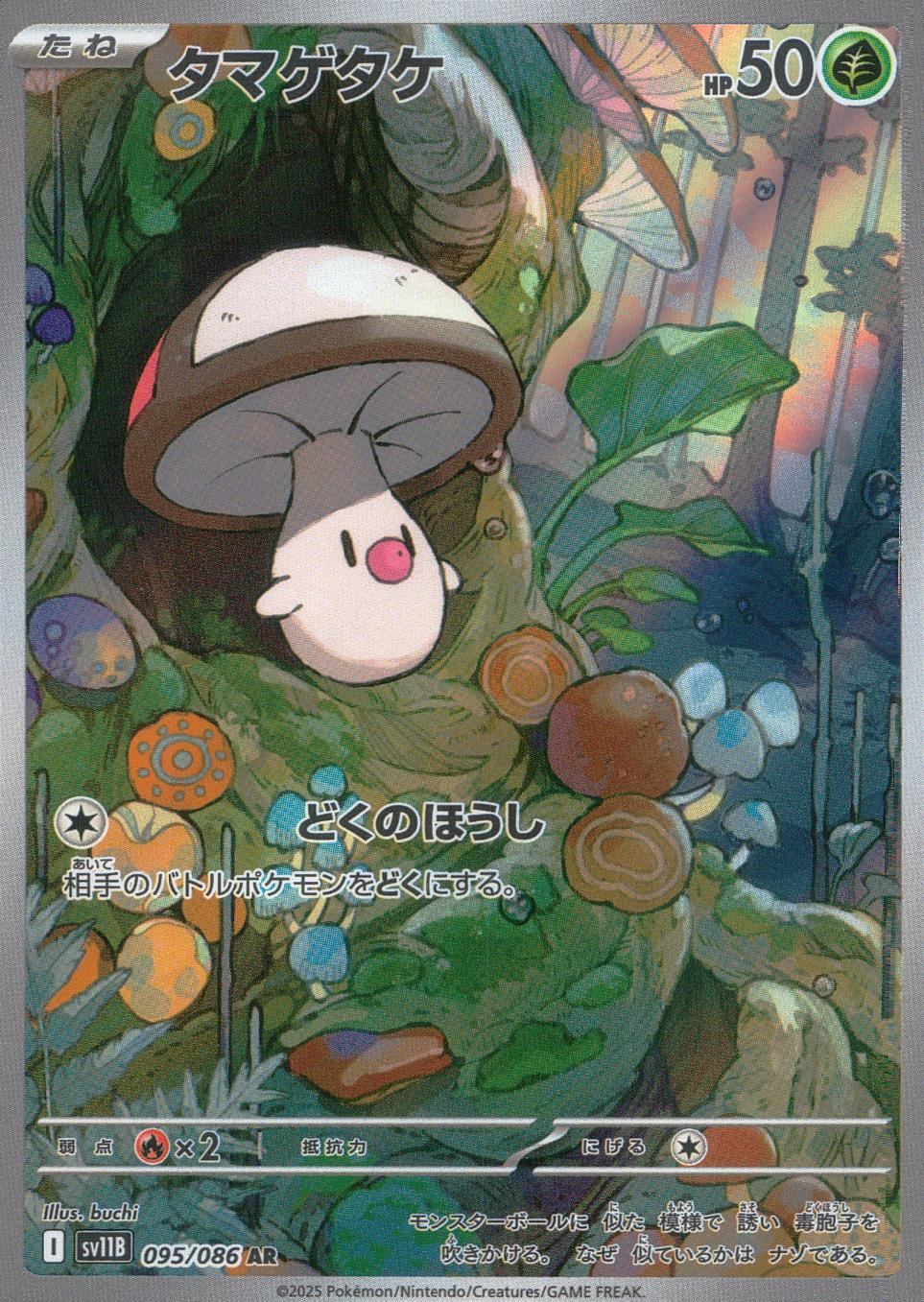 095/086/SV11B/B/AR タマゲタケ
