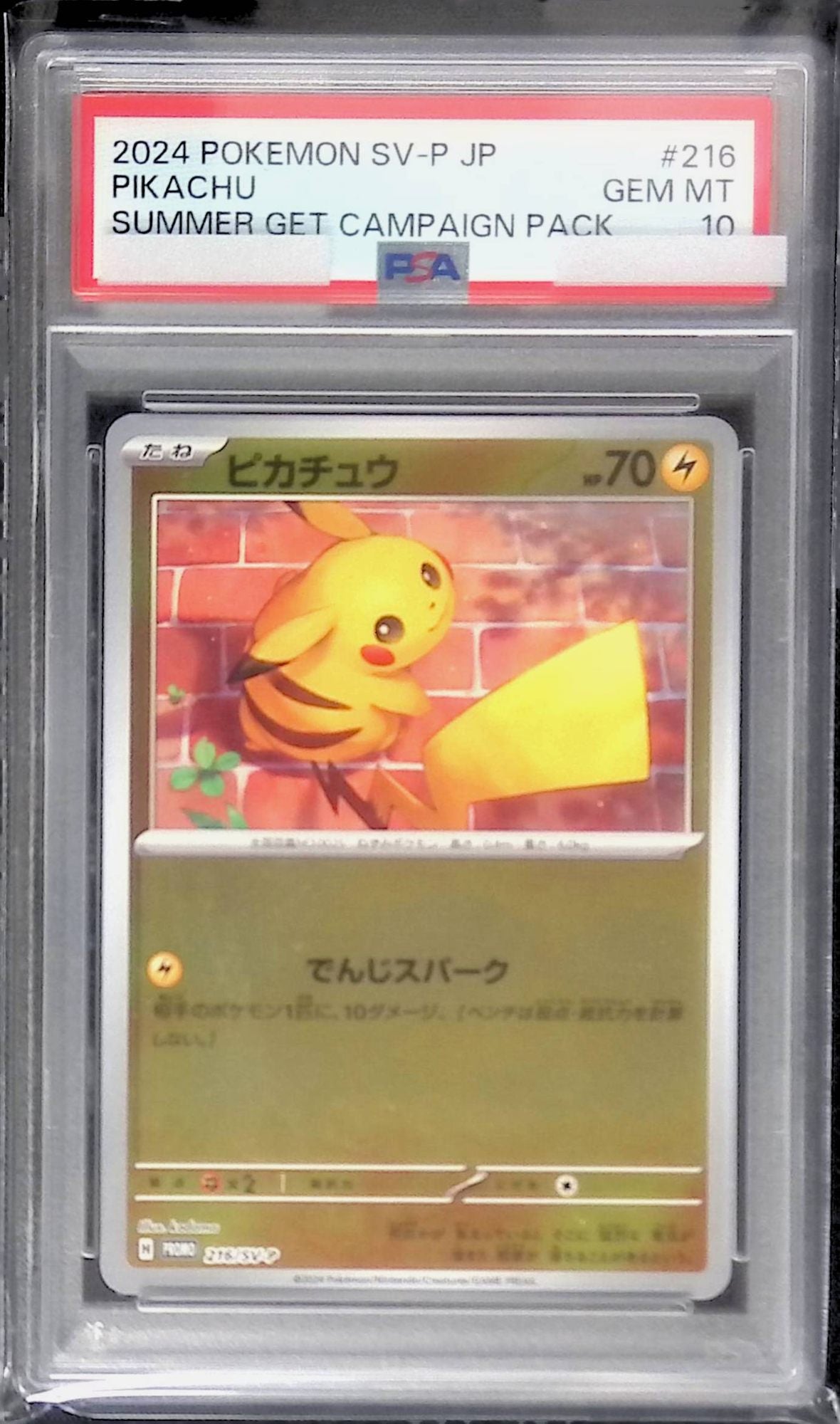 216/SV-P PROMO ピカチュウ PSA10 ポケカの夏がキタ！ – トレジャーコレクション