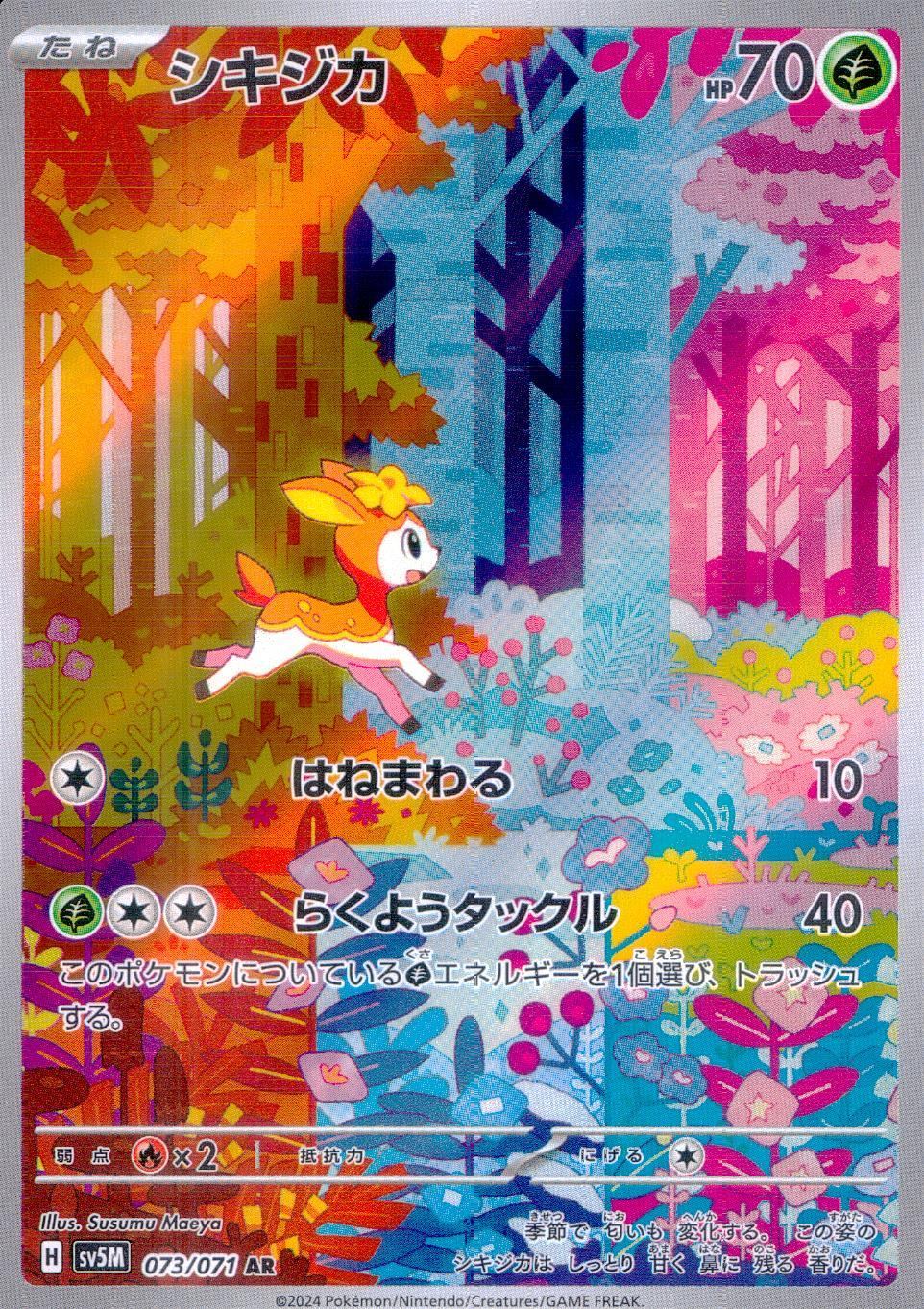 073/071/SV5M/B/AR シキジカ – トレジャーコレクション