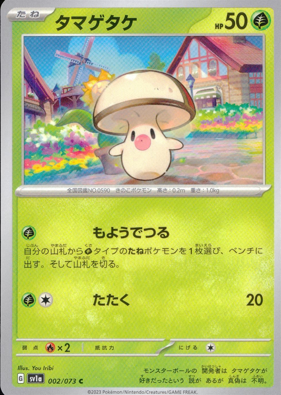 002/073/SV1A/B/C タマゲタケ – トレジャーコレクション