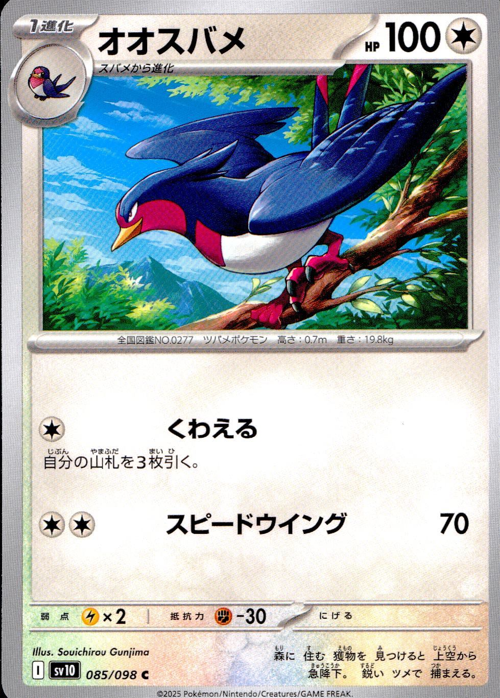 085/098/SV10/B/C オオスバメ – トレジャーコレクション