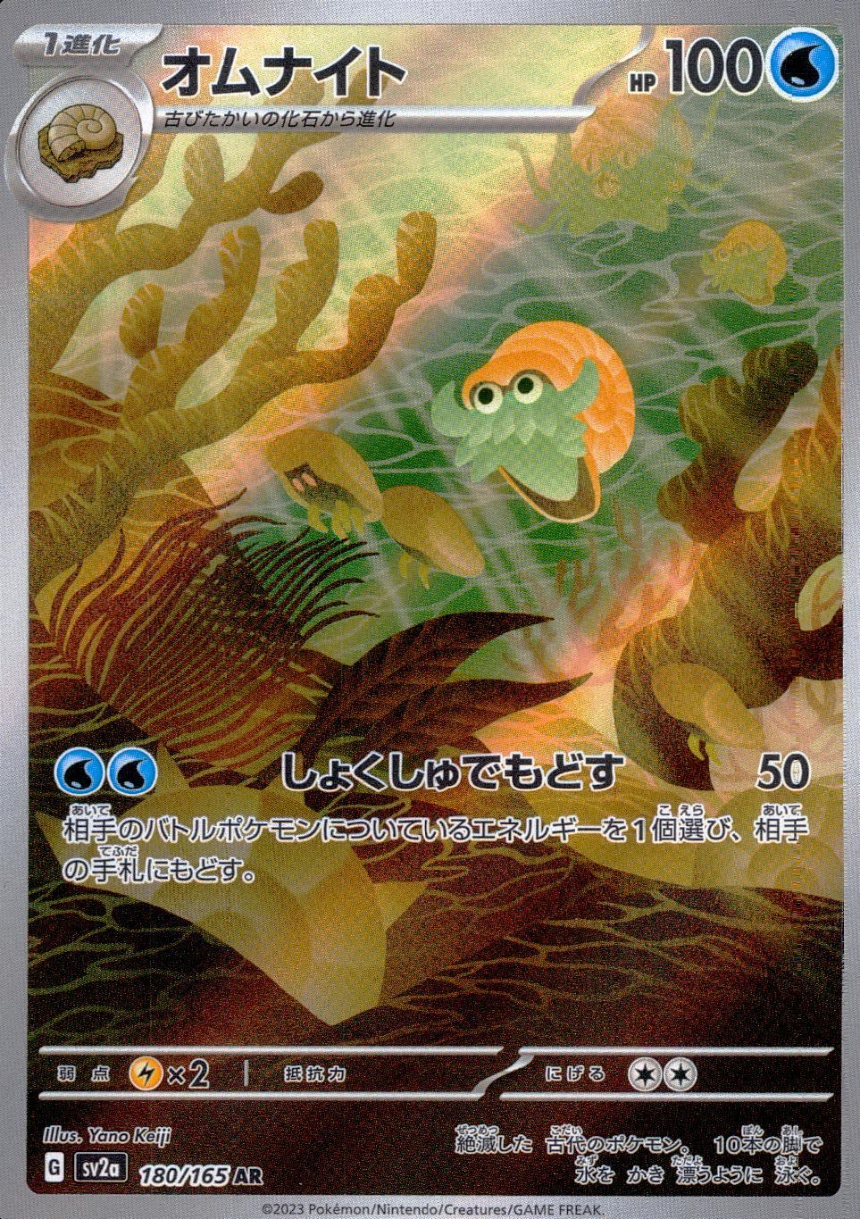 180/165/SV2A/B/AR オムナイト – トレジャーコレクション