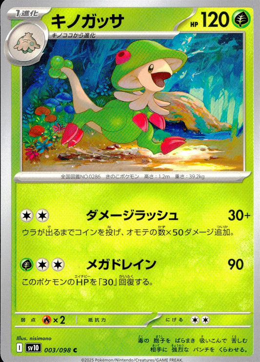 SV10-ロケット団の栄光 – トレジャーコレクション