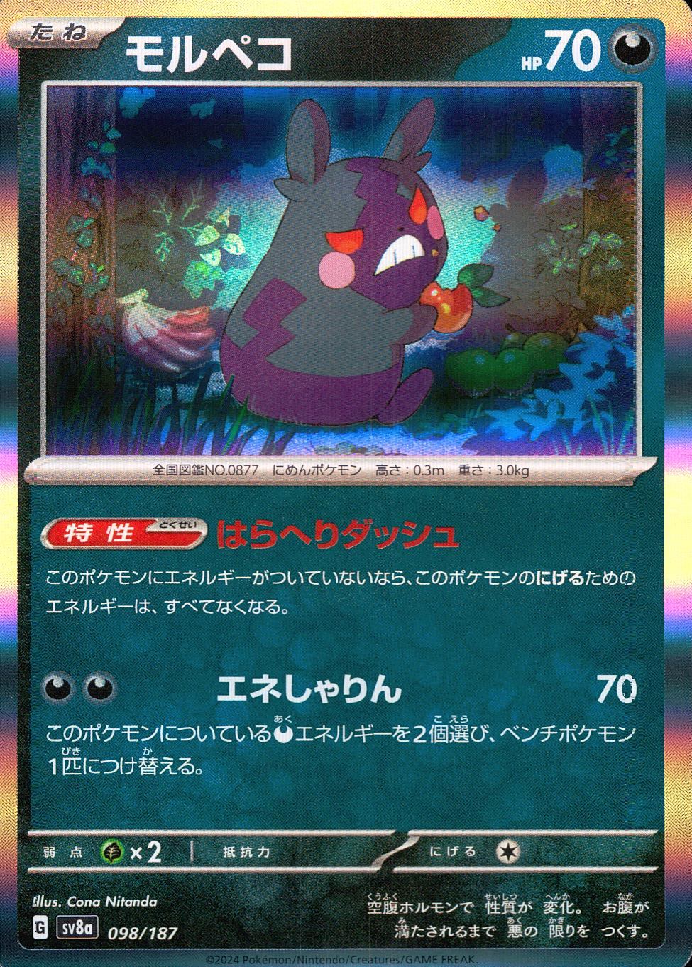 098/187/SV8A/B モルペコ – トレジャーコレクション