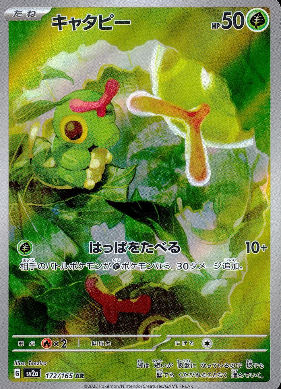 172/165/SV2A/B/AR キャタピー – トレジャーコレクション