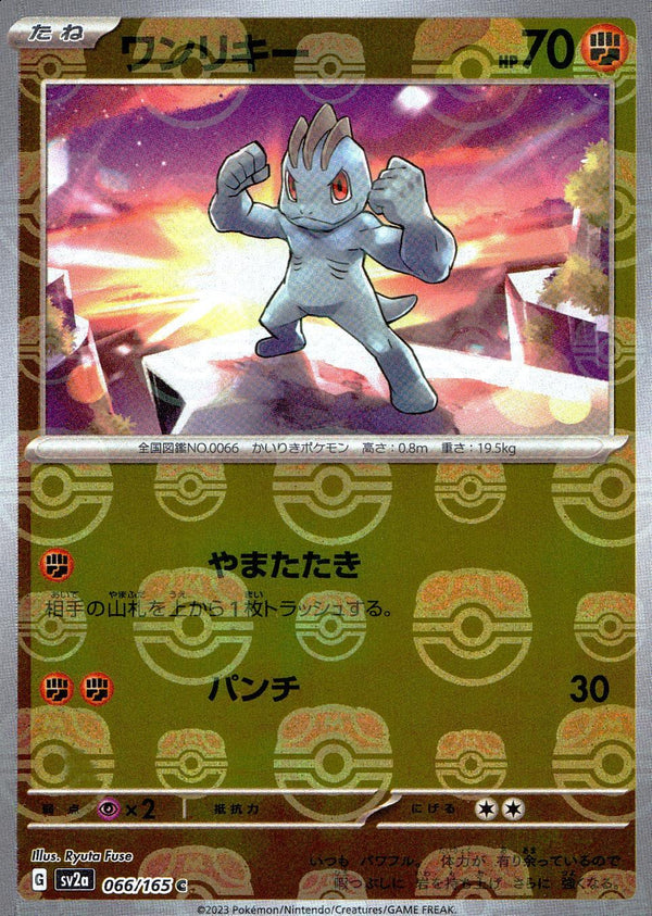 066/165/SV2A/BM2/C ミラー)ワンリキー(マスターボール柄)