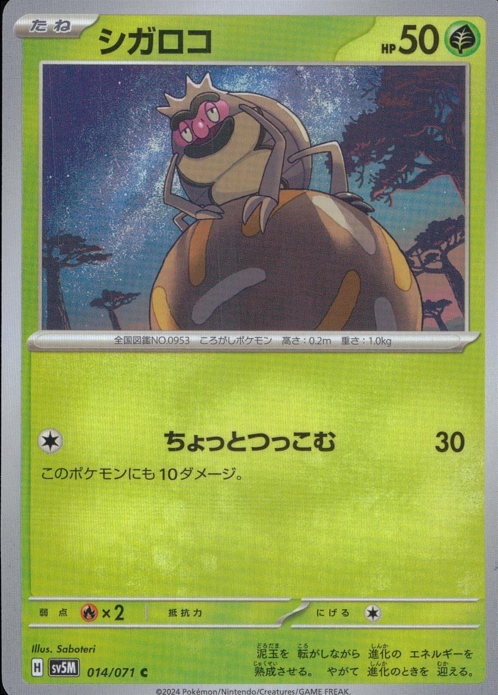 014/071/SV5M/B/C シガロコ – トレジャーコレクション